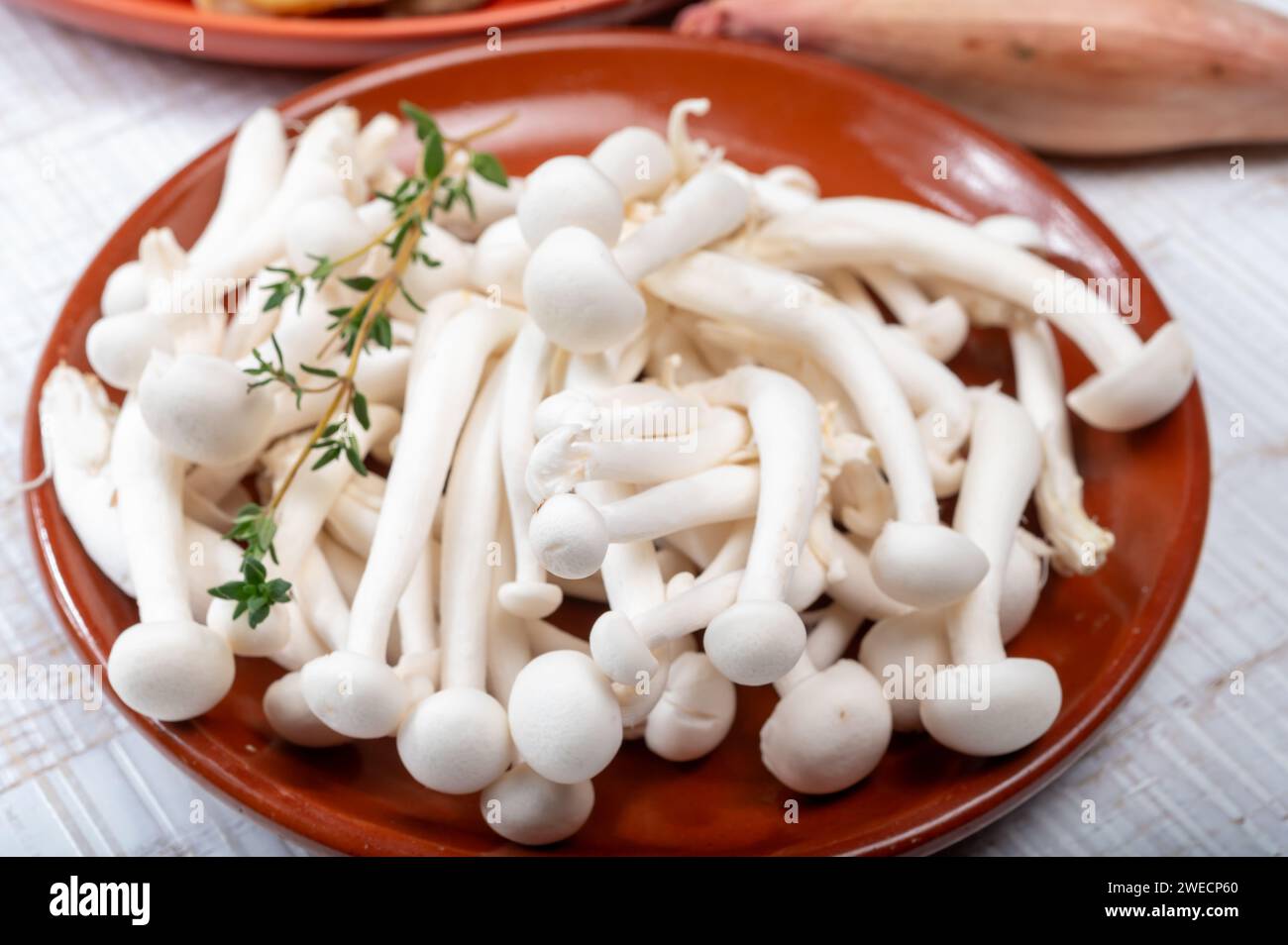 White shimeji edible mushrooms native to East Asia, buna-shimeji is ...
