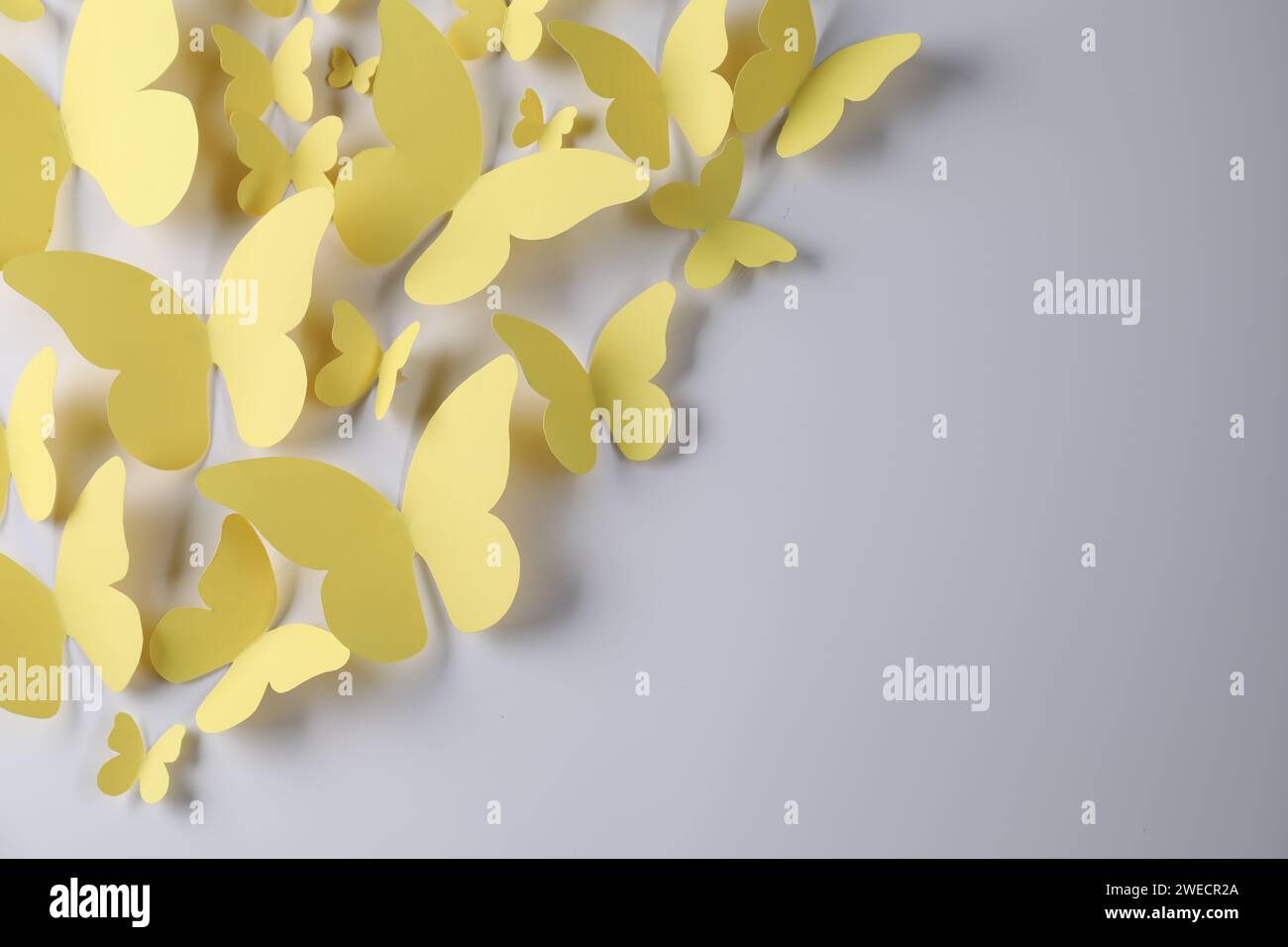 Yellow paper butterflies on light grey background, top view. Space for ...