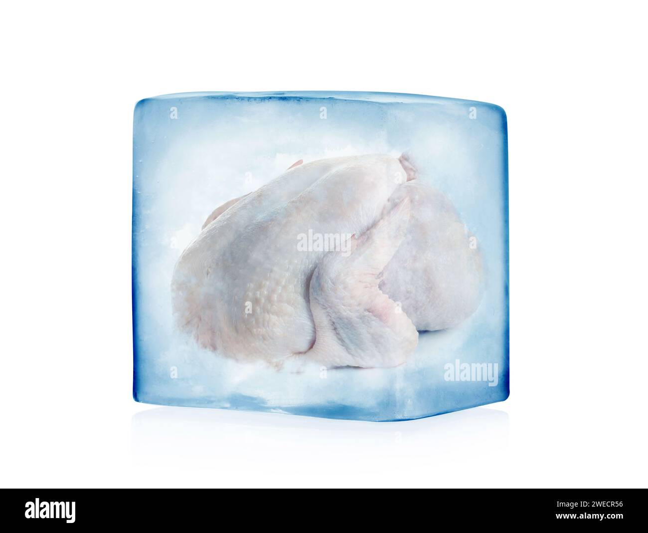Frozen food. Raw whole turkey in ice cube isolated on white Stock Photo ...