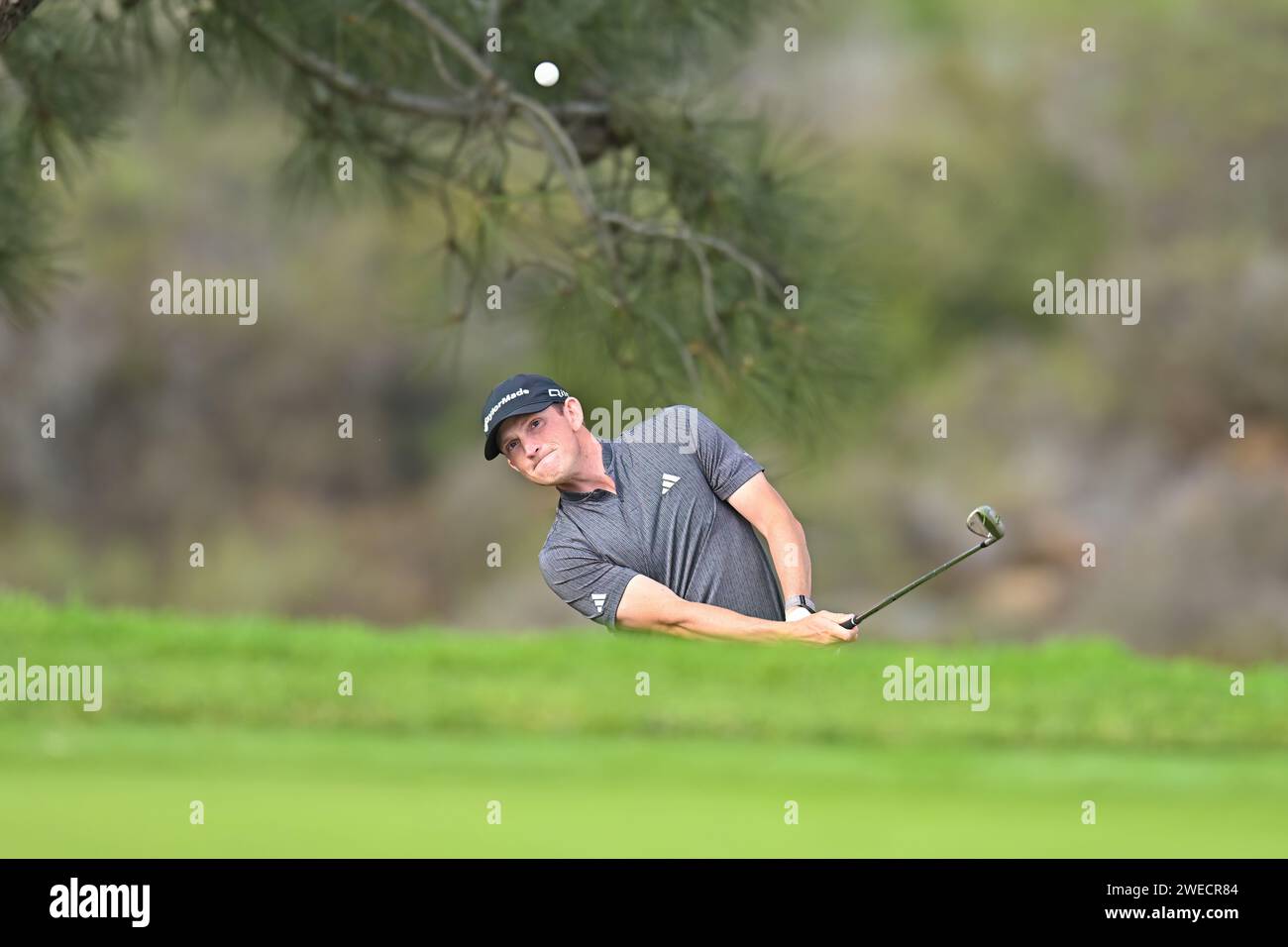 Jan bridgeman hi-res stock photography and images - Alamy