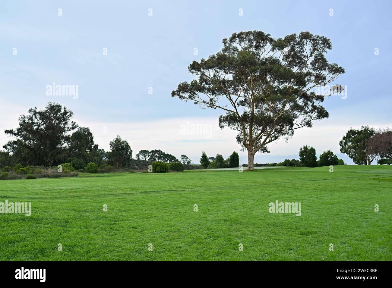 San Diego, California, USA. 24th Jan, 2024. The fairway of the 14th ...