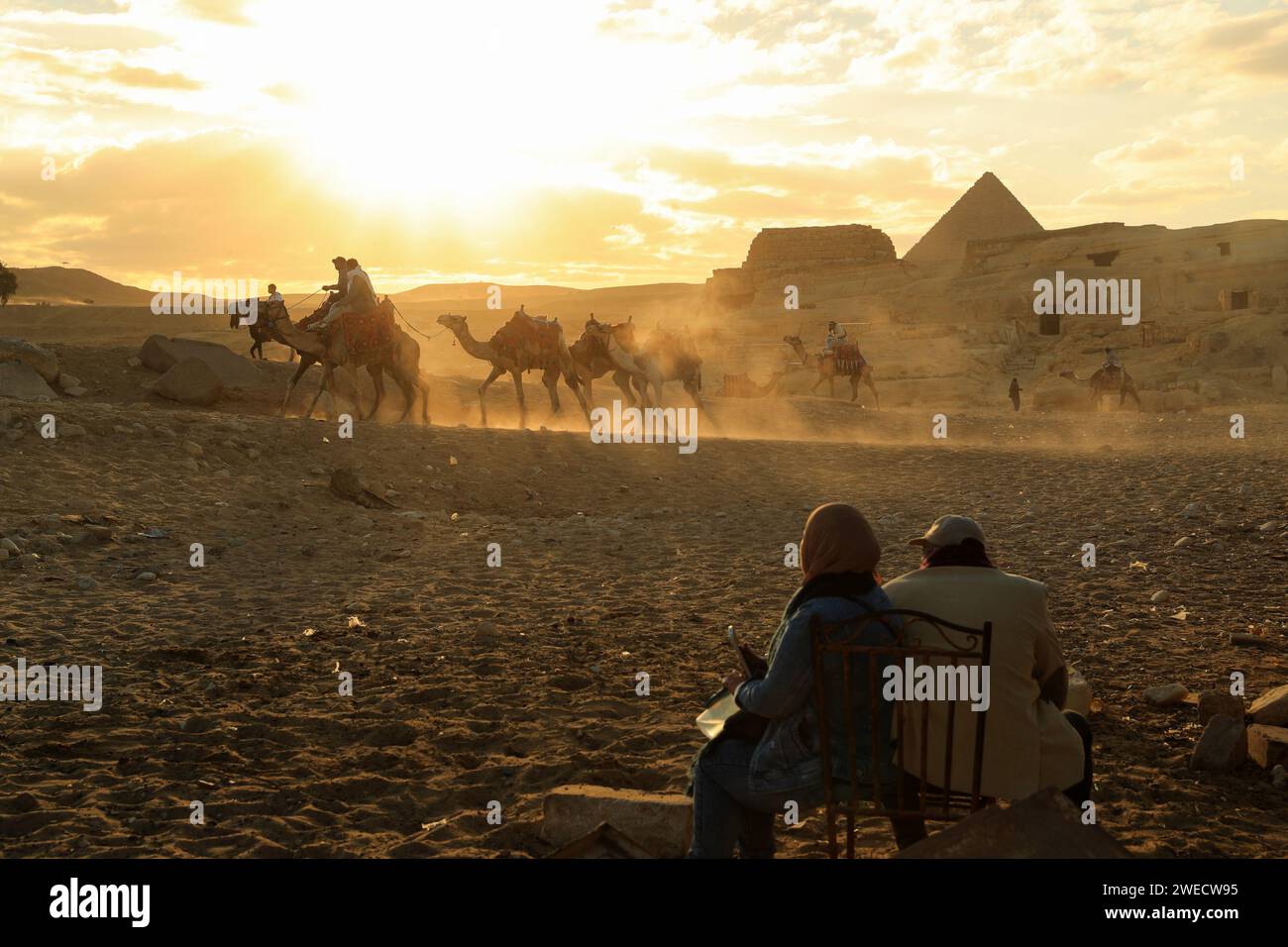 Cairo, Egypt. 24th Jan, 2024. Vendors of animal riding service for ...