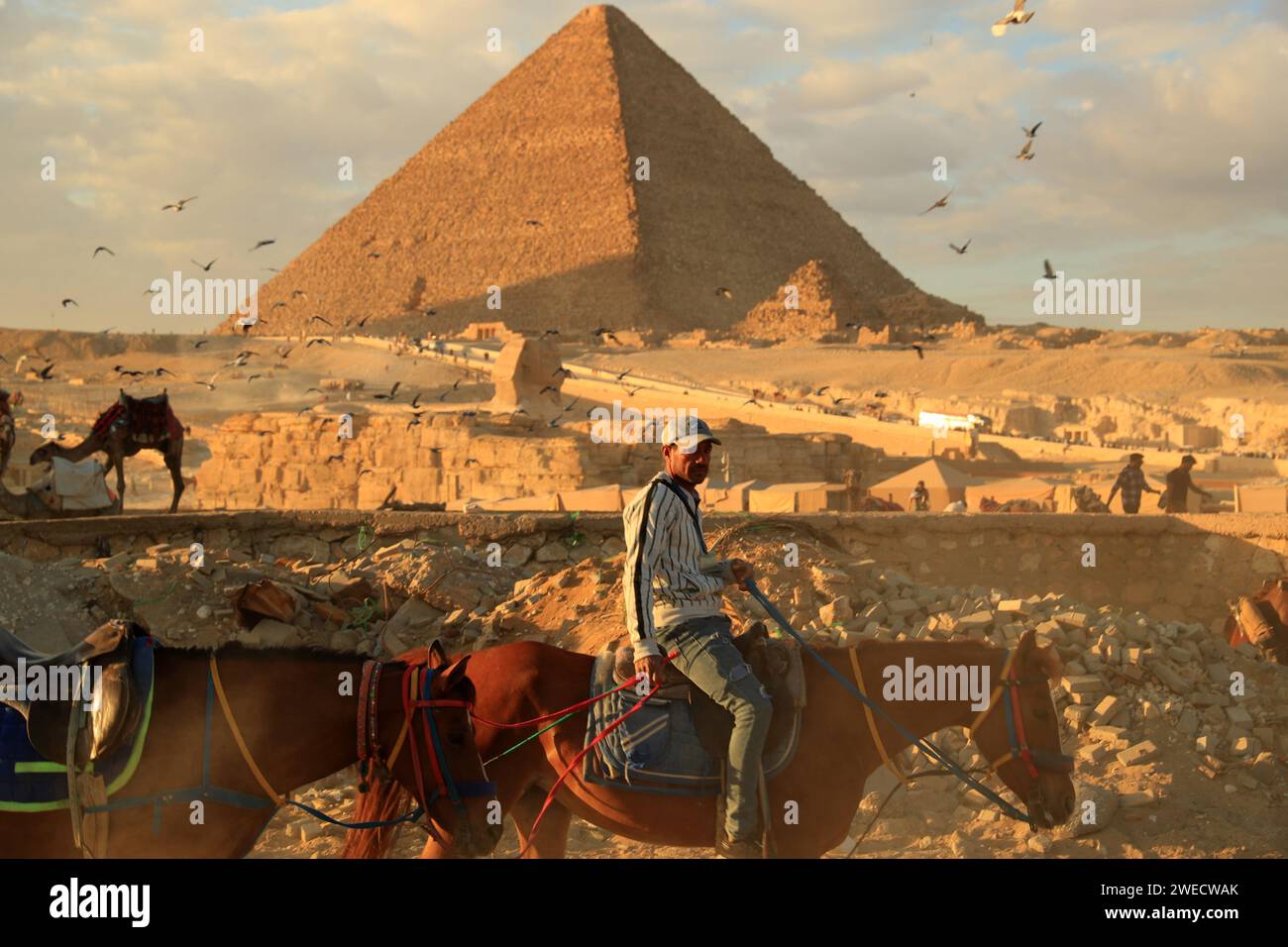 Cairo, Egypt. 24th Jan, 2024. A vendor of animal riding service for ...