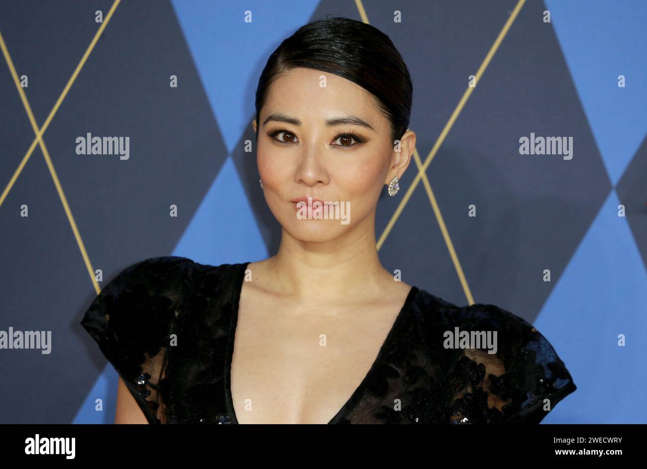 London, UK. 24th Jan, 2024. Jing Lusi attends the World Premiere of ...