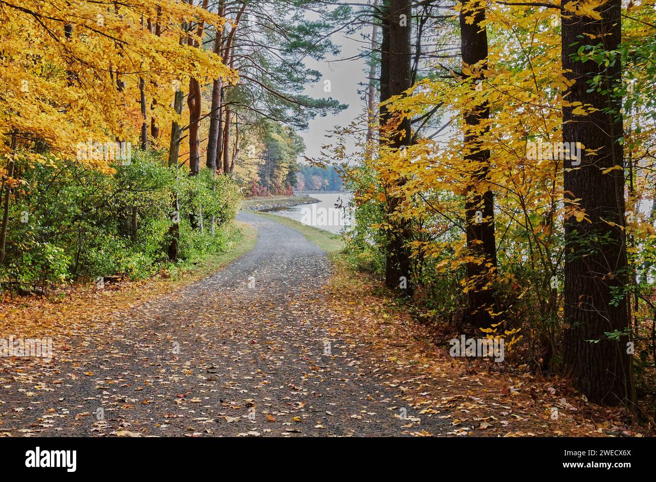 New England Fall Foliage Stock Photo - Alamy