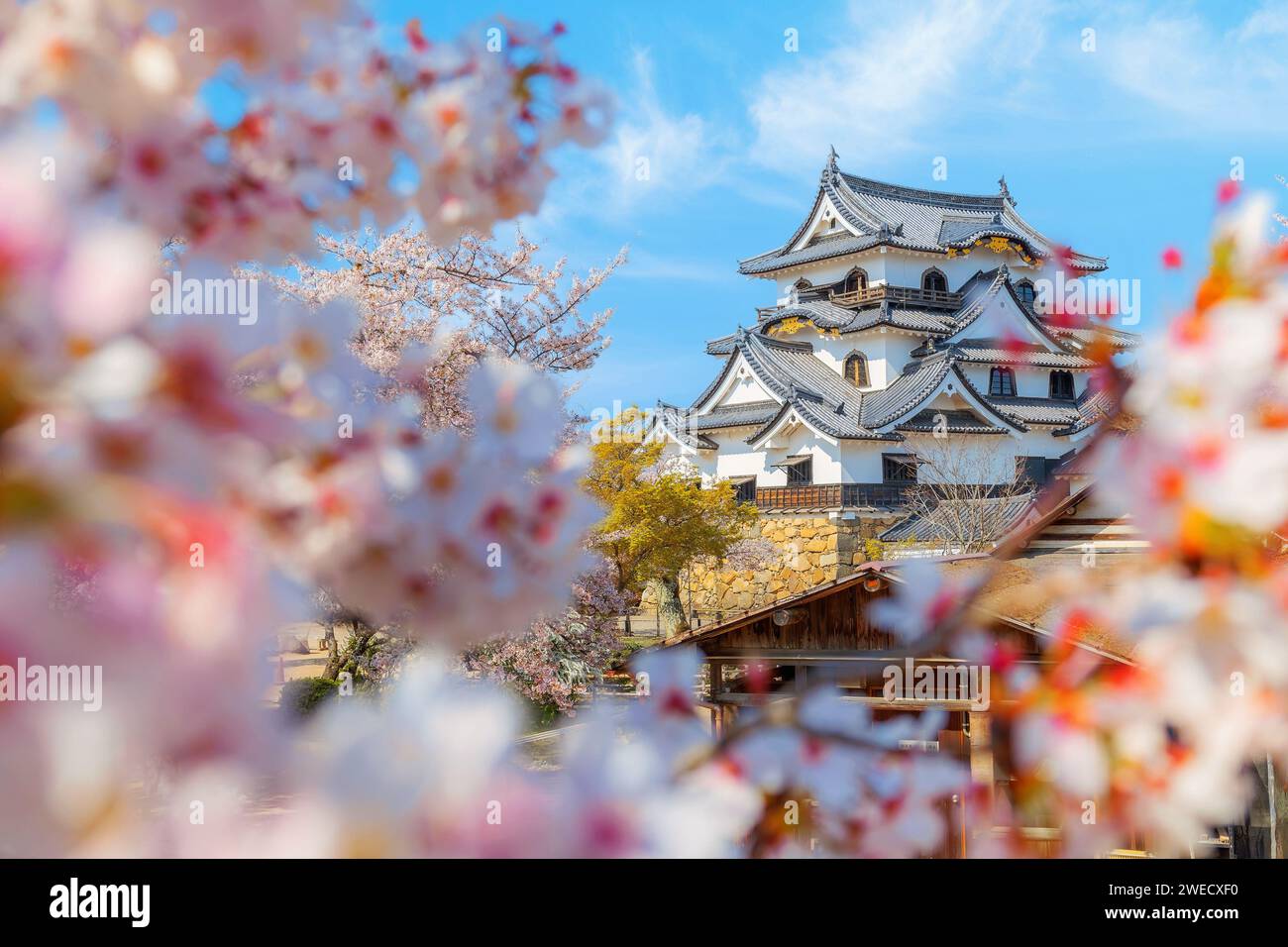 Shiga, Japan - April 3 2023: Hikone Castle completed in 1622, a ...