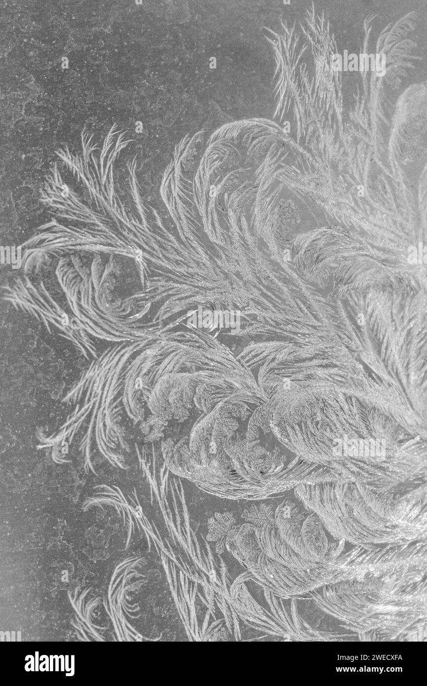 delicate winter frost pattern on a window, black and white image Stock ...