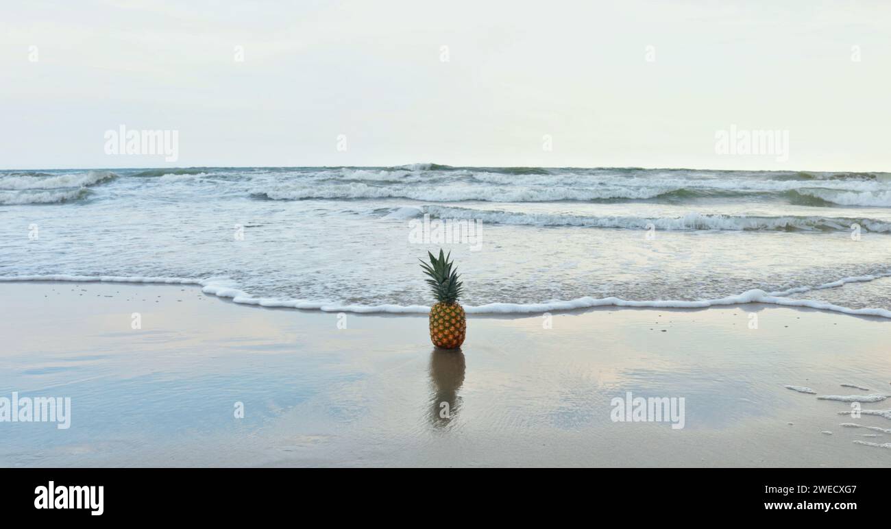 Pineapple sitting on the beach near the ocean waves Stock Photo - Alamy