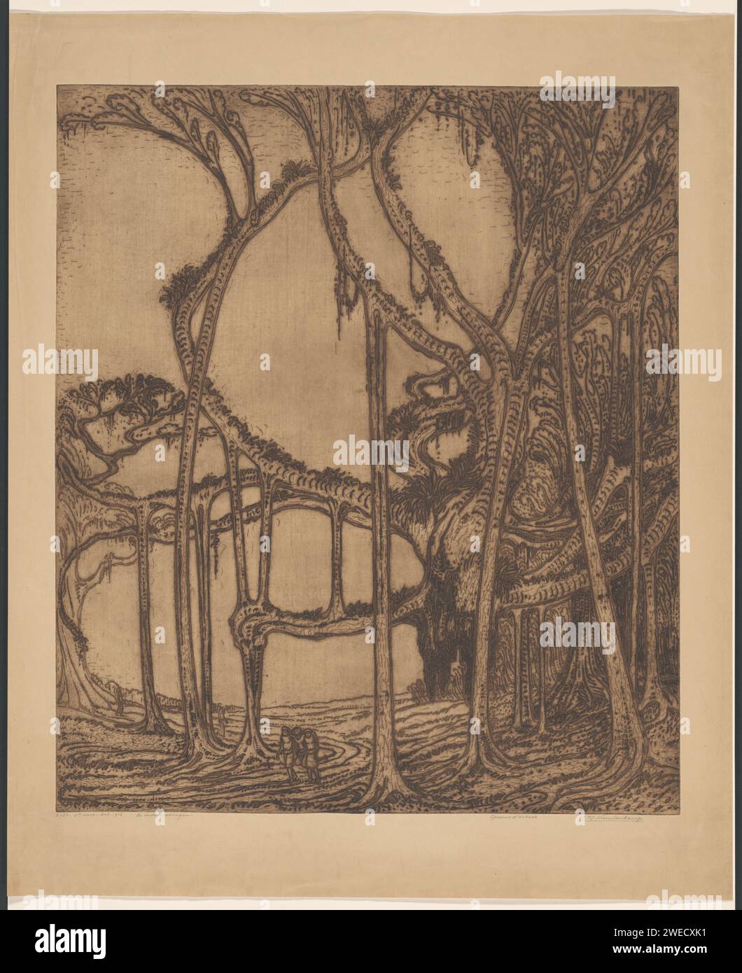 Etching tree roots hi-res stock photography and images - Alamy