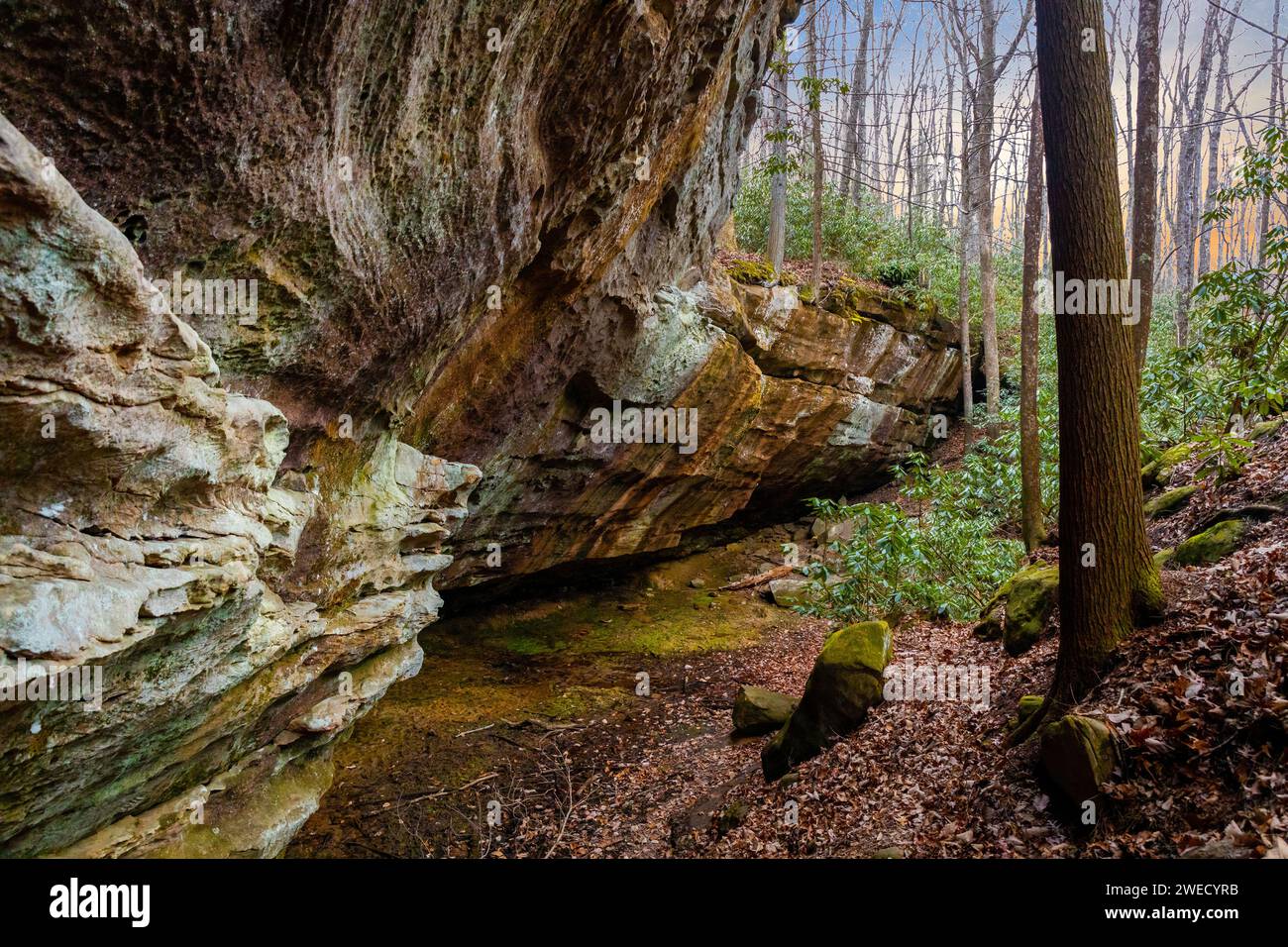 Natural Bridge trail rocks formation at Big South Fork National ...
