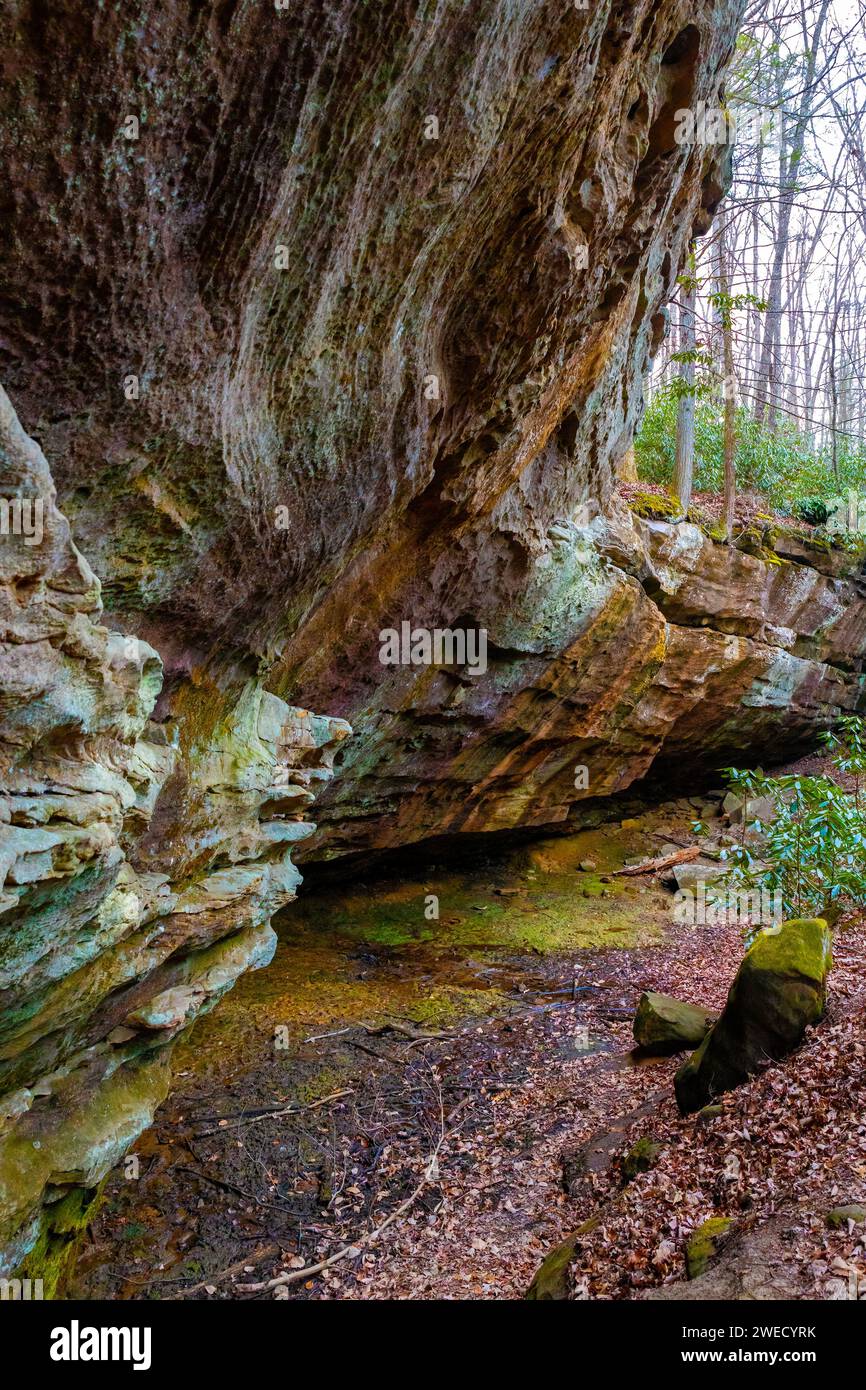Natural Bridge trail rocks formation at Big South Fork National ...