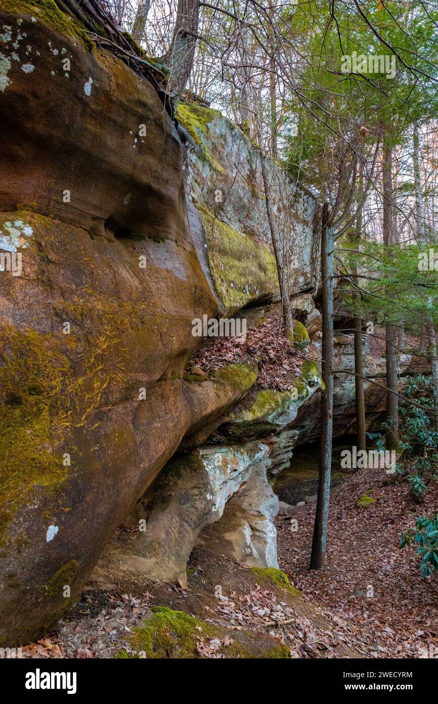 Natural Bridge trail rocks formation at Big South Fork National ...