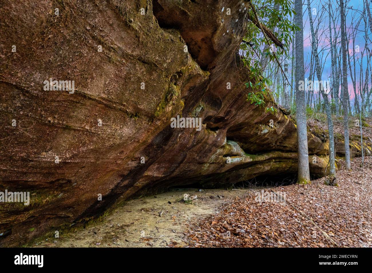 Natural Bridge trail rocks formation at Big South Fork National ...