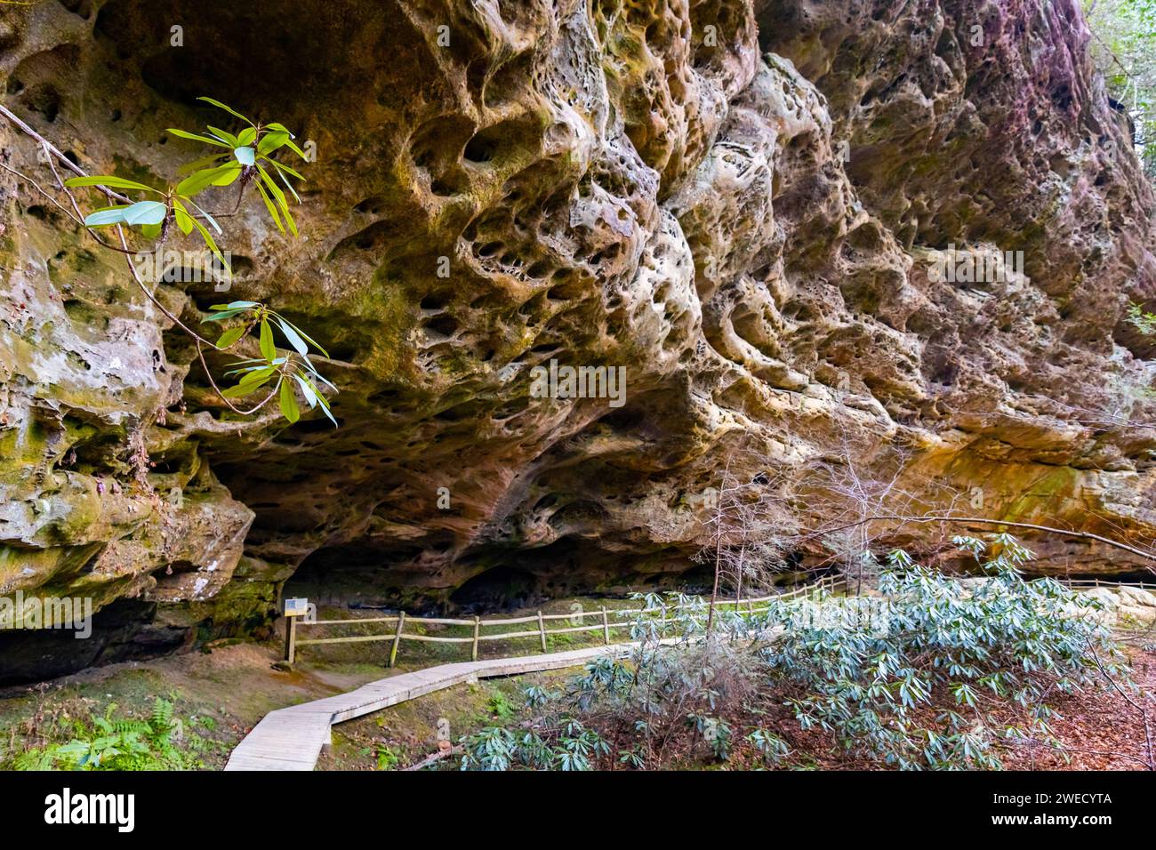 Hazard Cave trail rocks formation at Big South Fork National River and ...