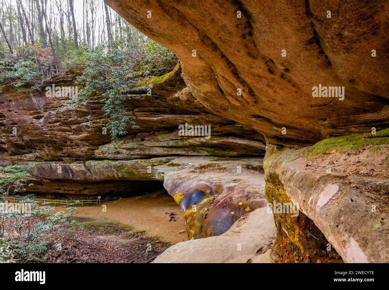 Hazard Cave trail rocks formation at Big South Fork National River and ...