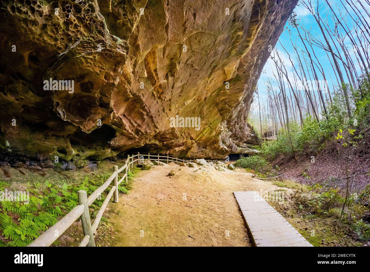 Hazard Cave trail rocks formation at Big South Fork National River and ...