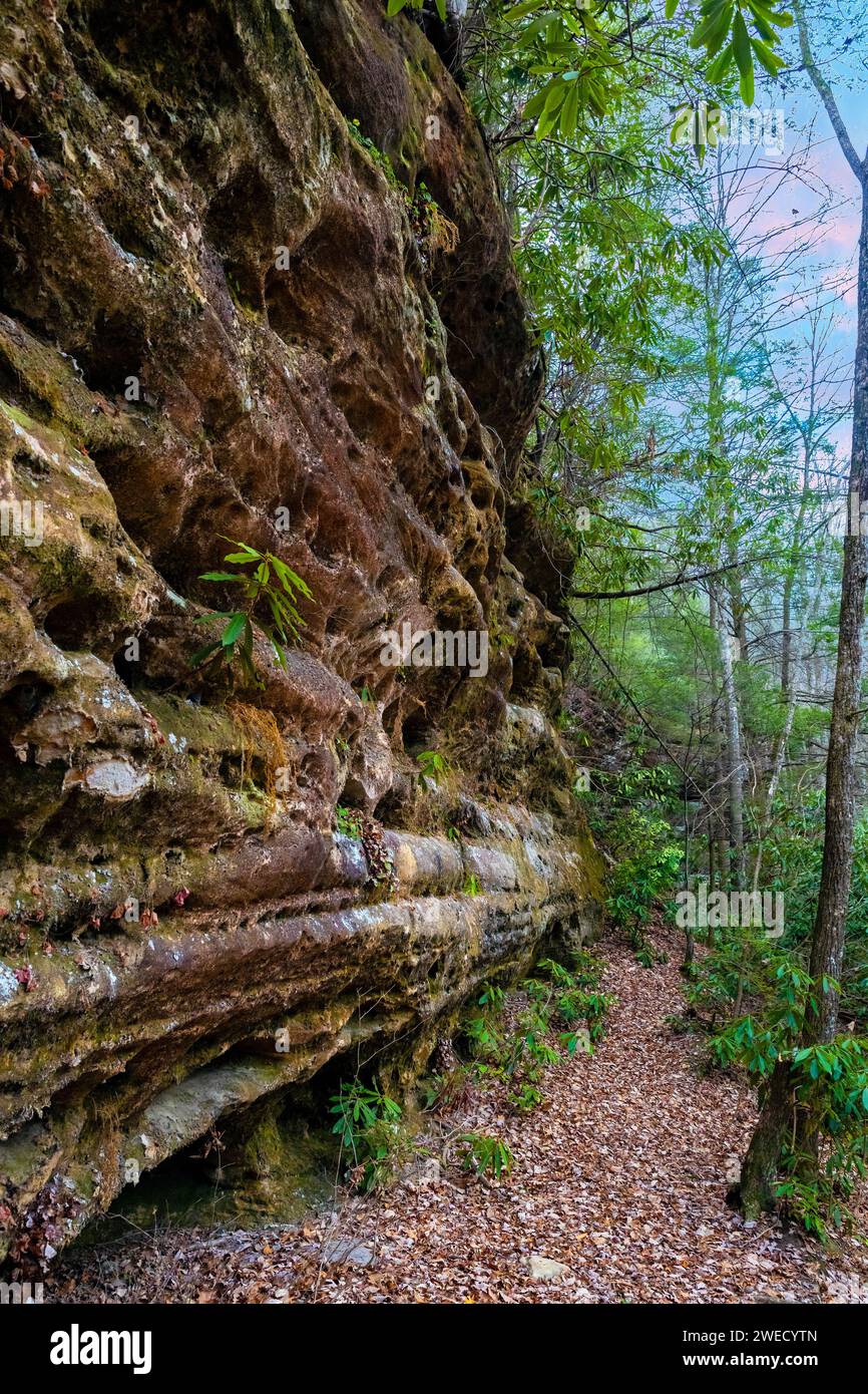 Natural Bridge trail rocks formation at Big South Fork National ...