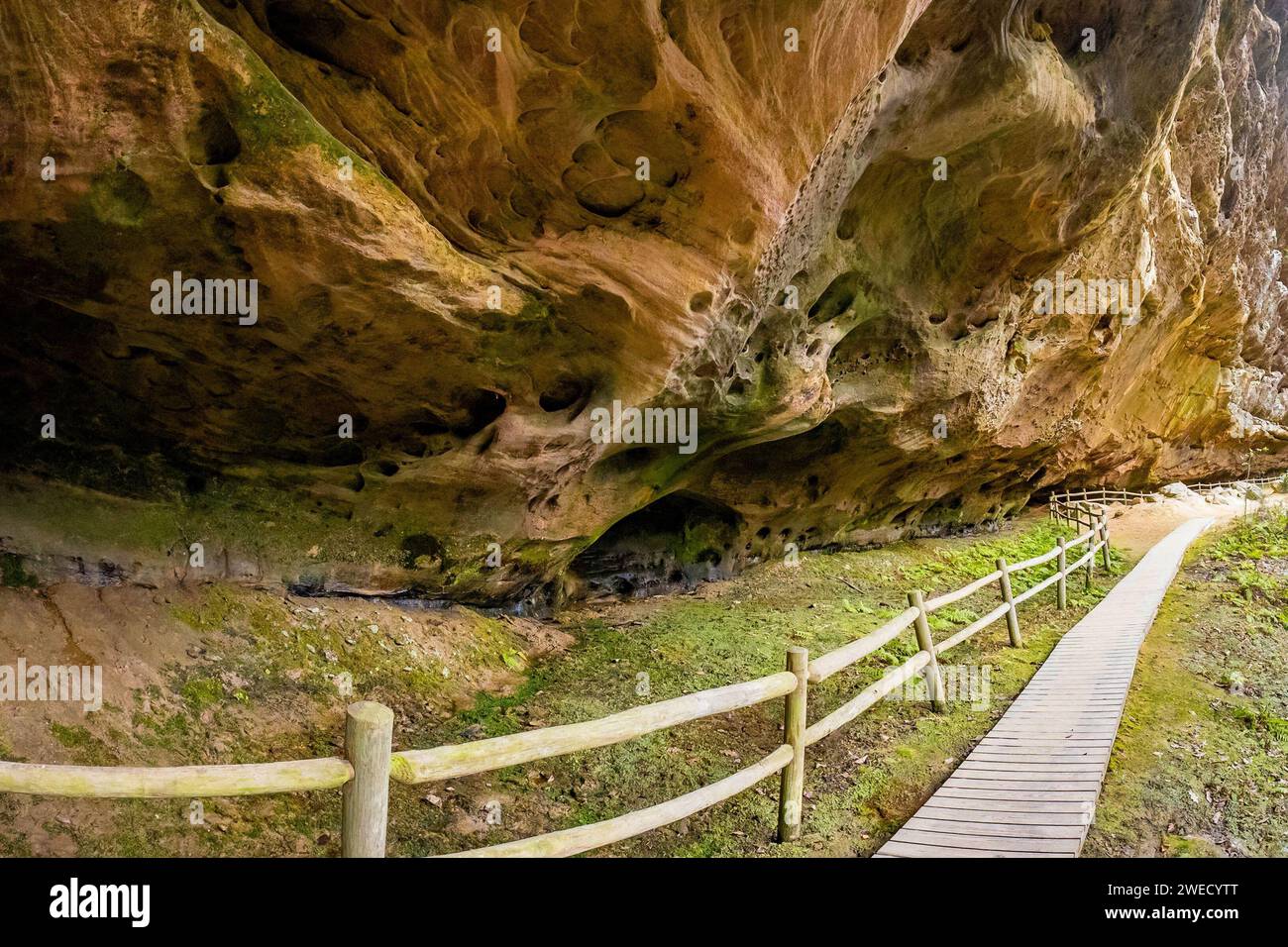 Hazard Cave trail rocks formation at Big South Fork National River and ...