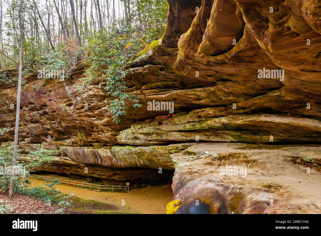 Hazard Cave trail rocks formation at Big South Fork National River and ...