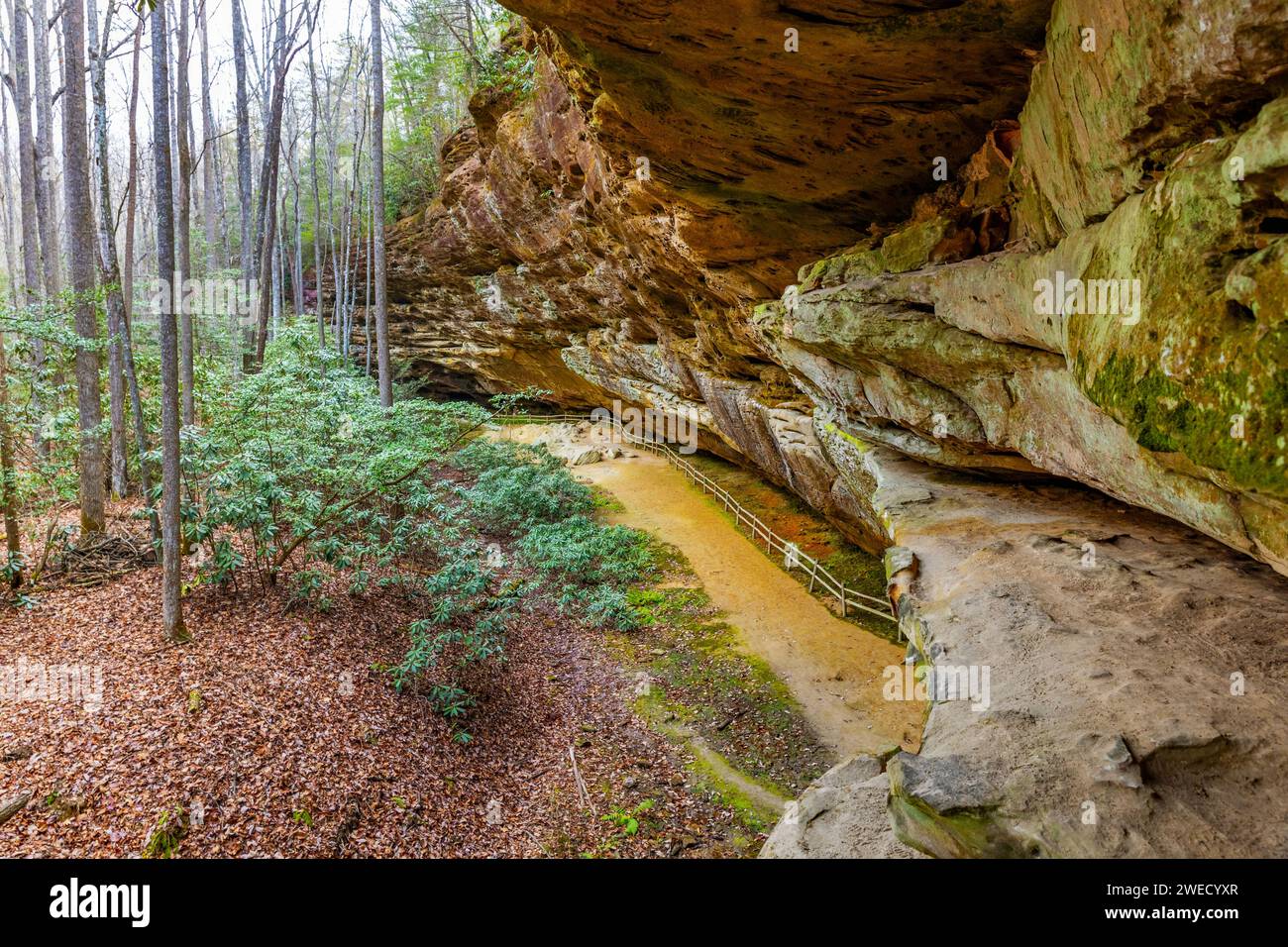 Hazard Cave trail rocks formation at Big South Fork National River and ...