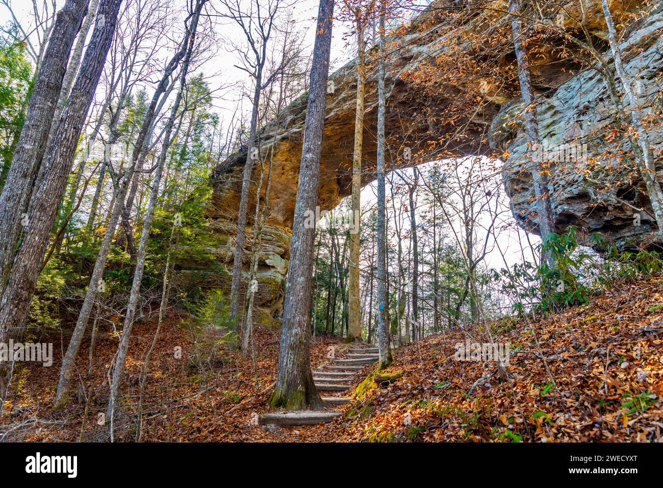 Scenic rocks erosion formation on Twin Arches trail in Big South Fork ...