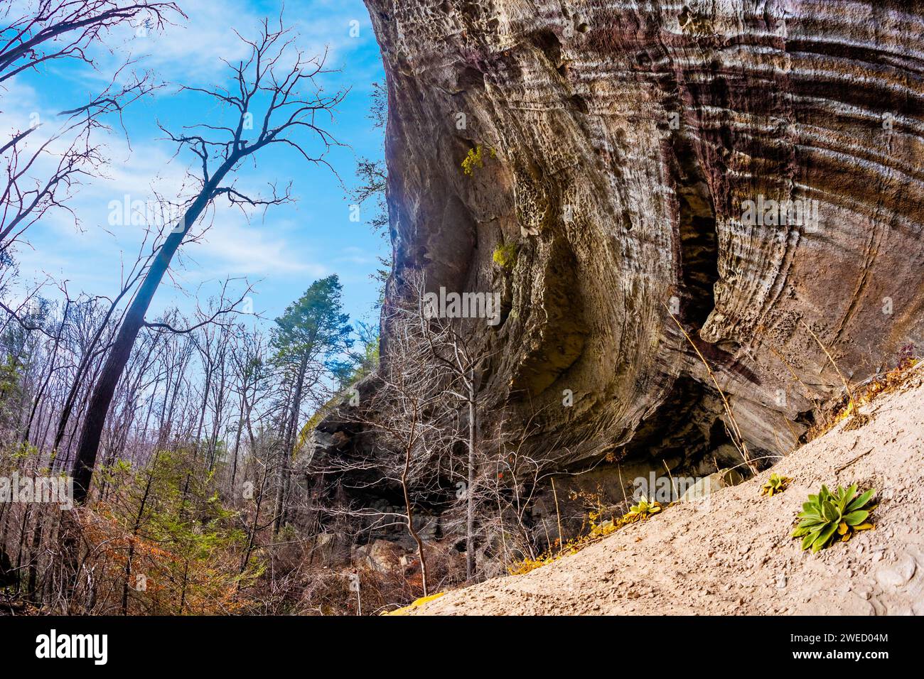 Scenic rocks erosion formation on Twin Arches trail in Big South Fork ...