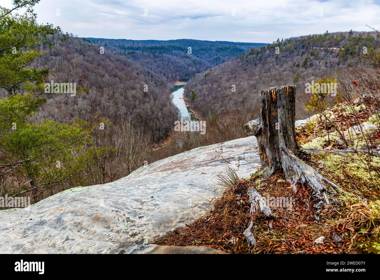 Panoramic view over Big South Fork National River and Recreation Area ...
