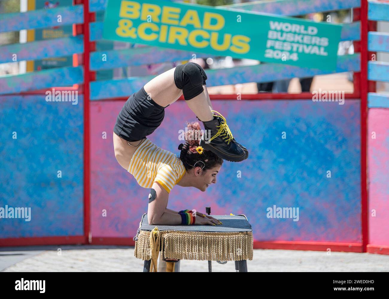 Christchurch, New Zealand. 25th Jan, 2024. Street performer LEAH ...