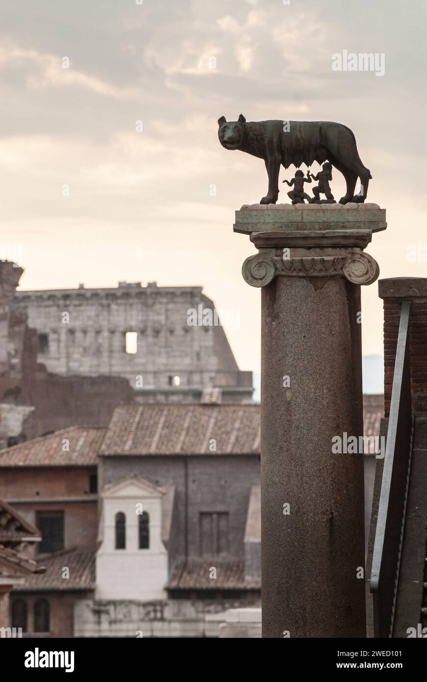 She Wolf with Remus and Romulus, the mythological symbol of Rome, Italy ...