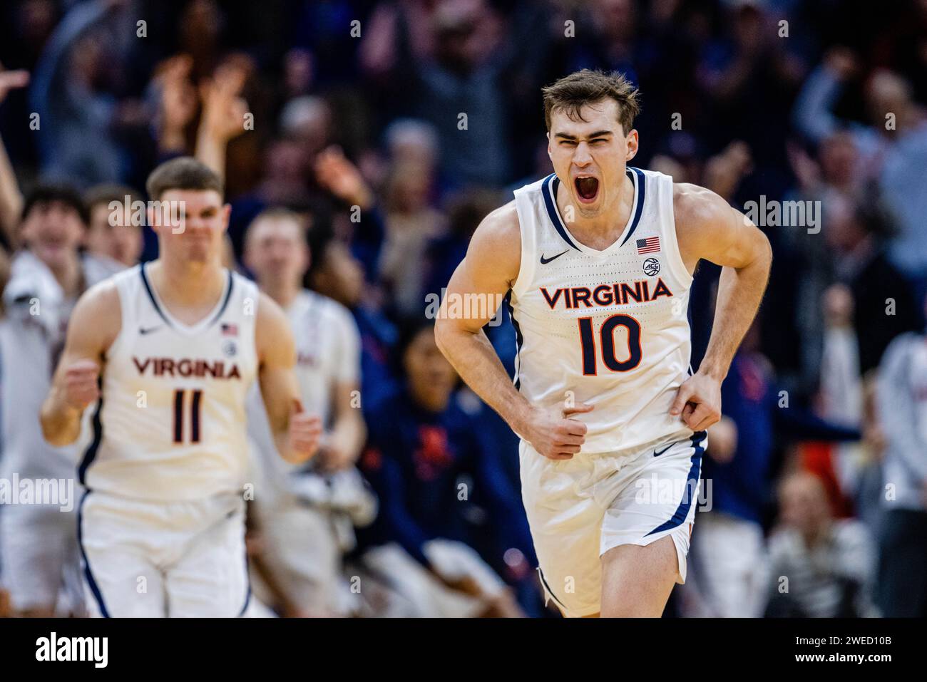 January 24, 2024: Virginia Cavaliers guard Taine Murray (10) celebrates ...