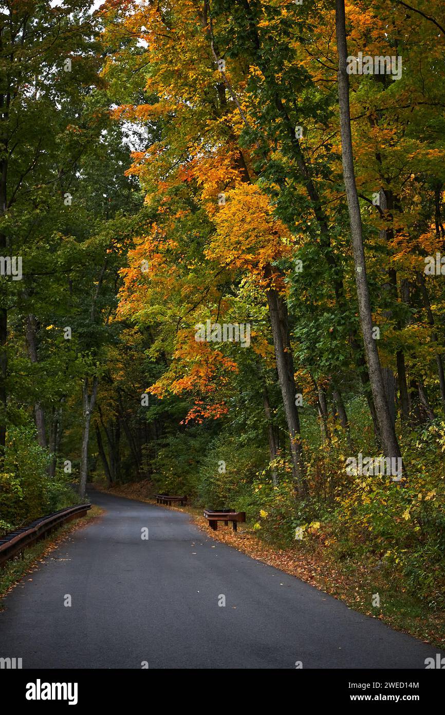 Seasons foliage hi-res stock photography and images - Alamy