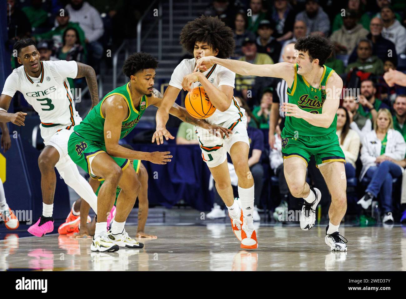 2024 0223 jpg hi-res stock photography and images - Alamy