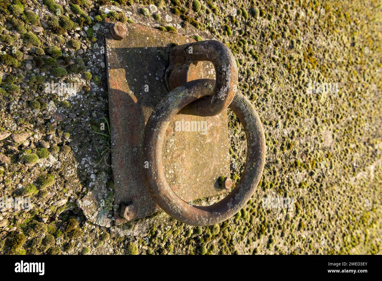 Plate attached to wall with ring for mooring ships or boats, fastening ...