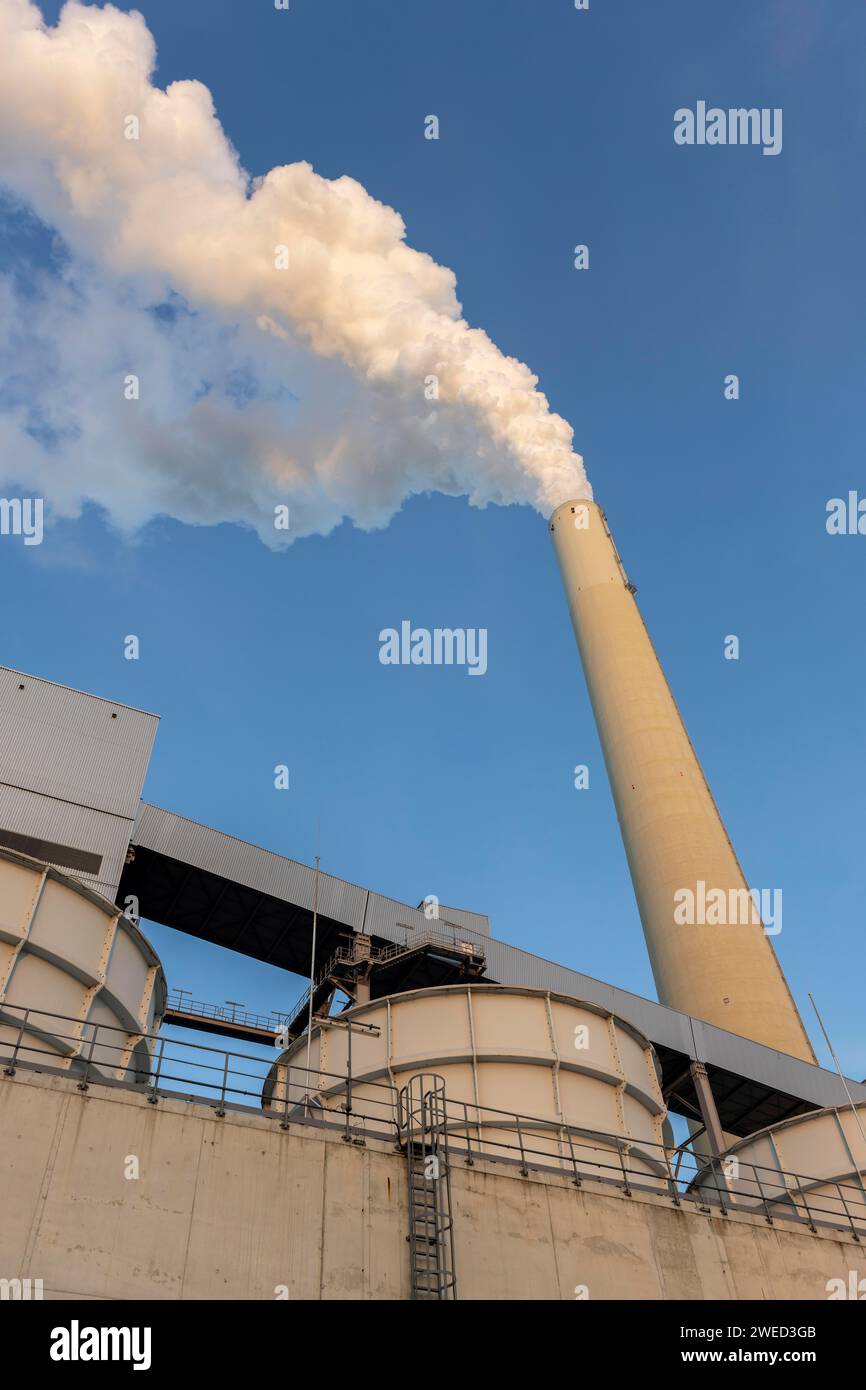 Symbolic image, energy turnaround, large power plant Mannheim, fossil ...