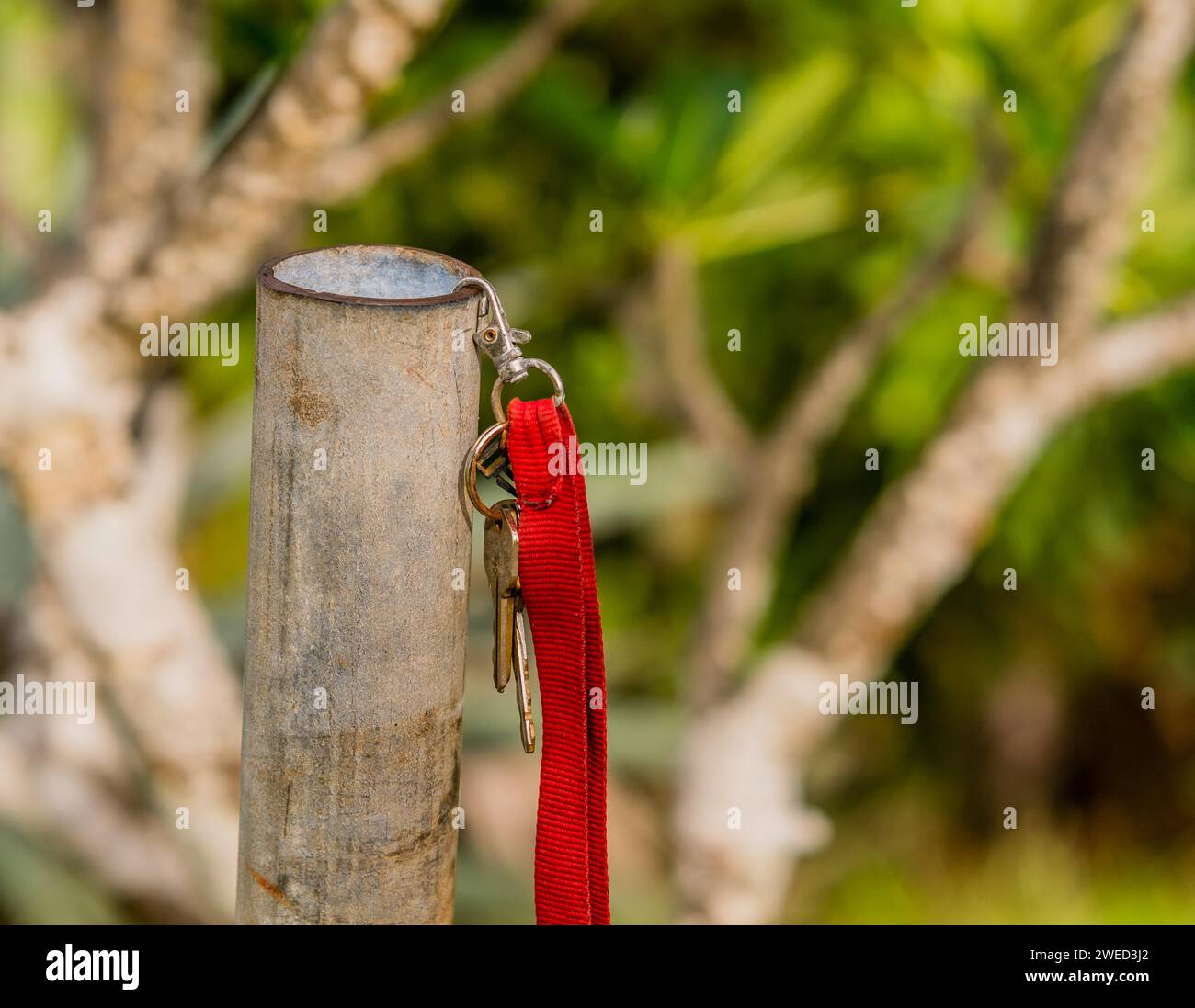 Keys on a keyring with red strap hanging from a metal pole in a wooded ...