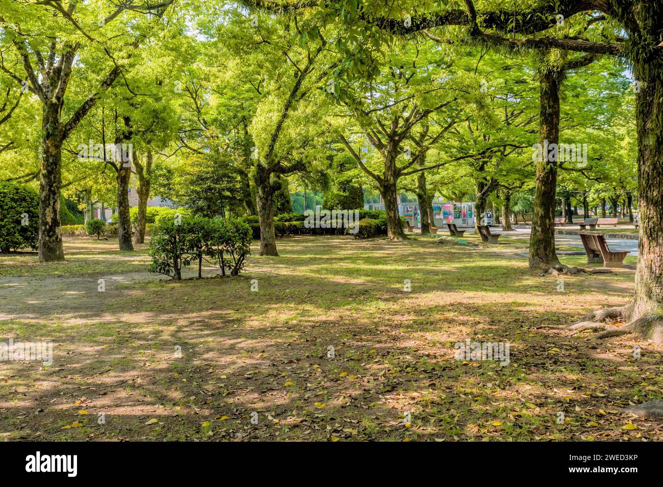 Landscape of a peaceful shaded park in Hiroshima, Japan Stock Photo - Alamy