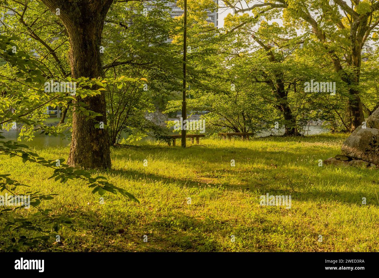 Landscape of secluded field in shaded nature park in Hiroshima, Japan ...