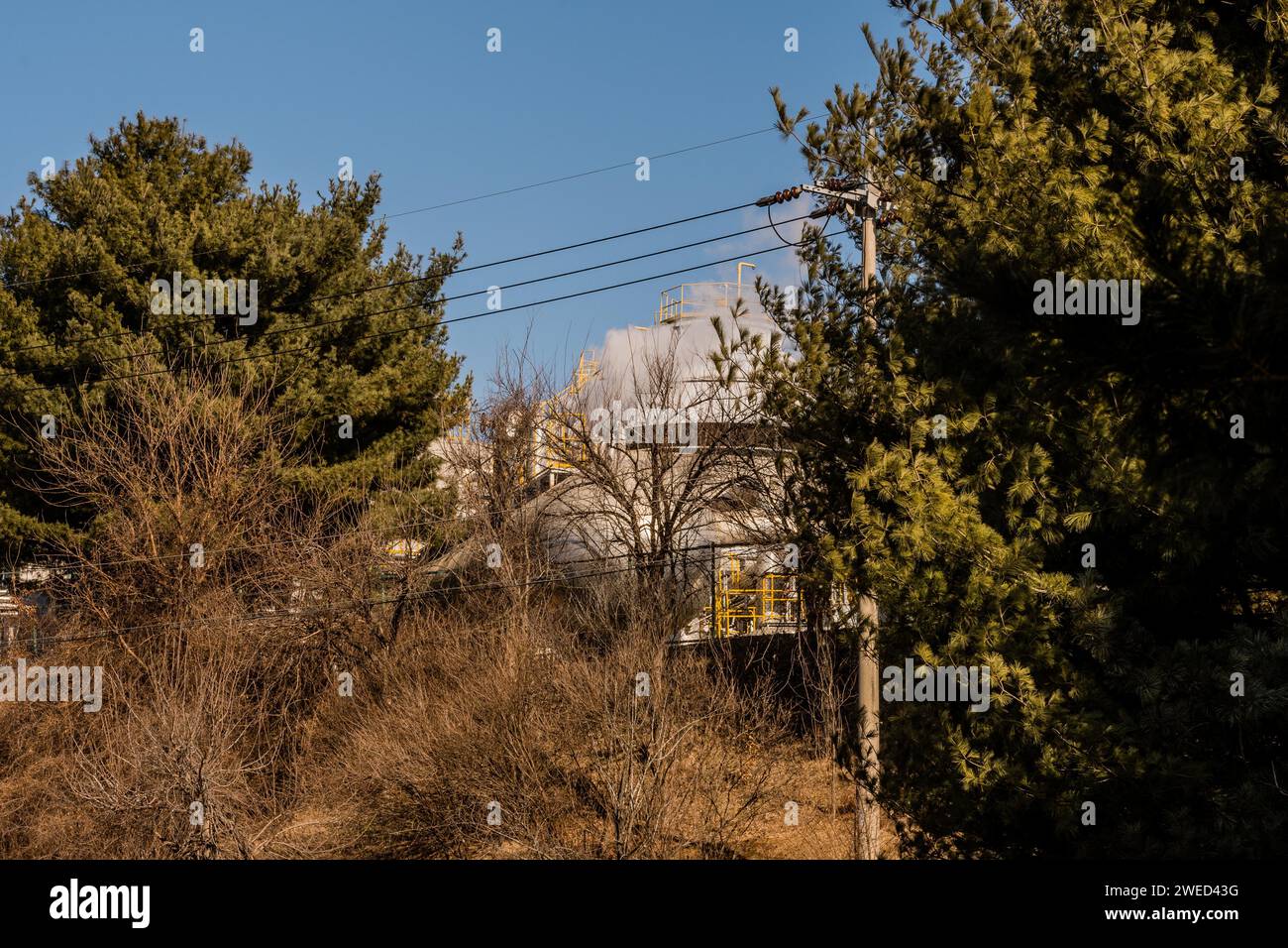 Steam escaping from large rural industrial brewery vat with blue sky in ...