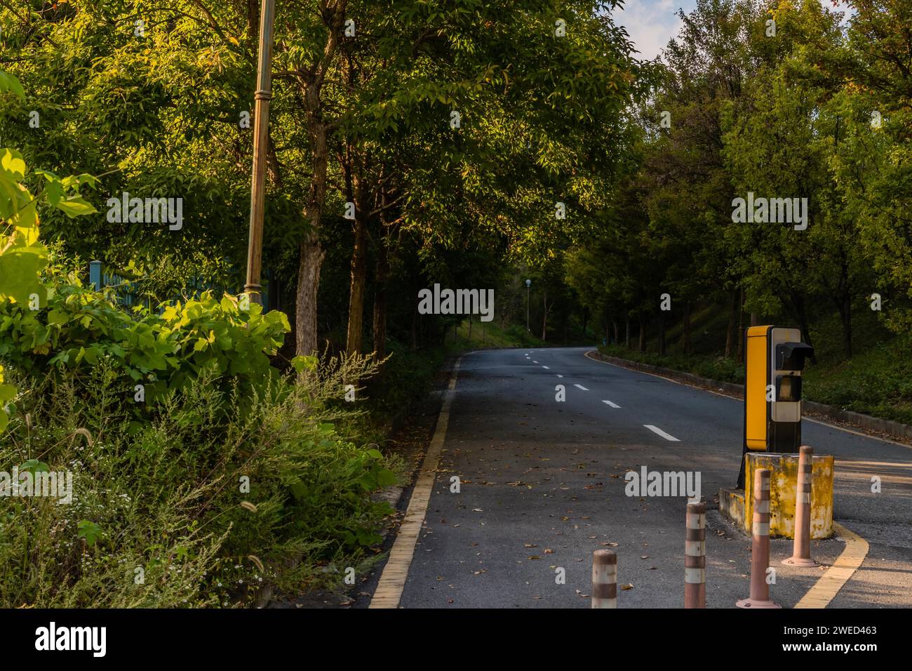 Traffic monitor device used to read license plates on two lane paved ...
