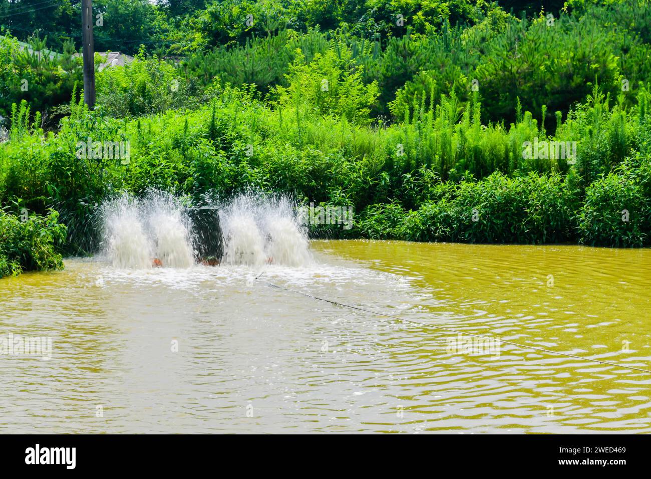 Paddle-wheels being used to aerate rural pond with green foliage on ...