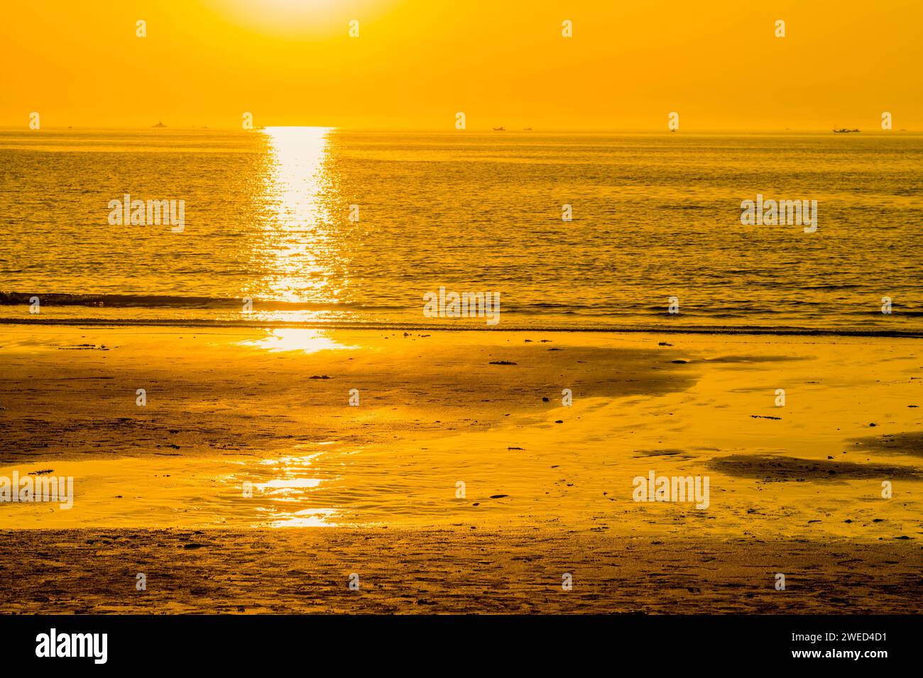 Sunset at ocean beach on Jeju island, South Korea in Jeju, South Korea ...