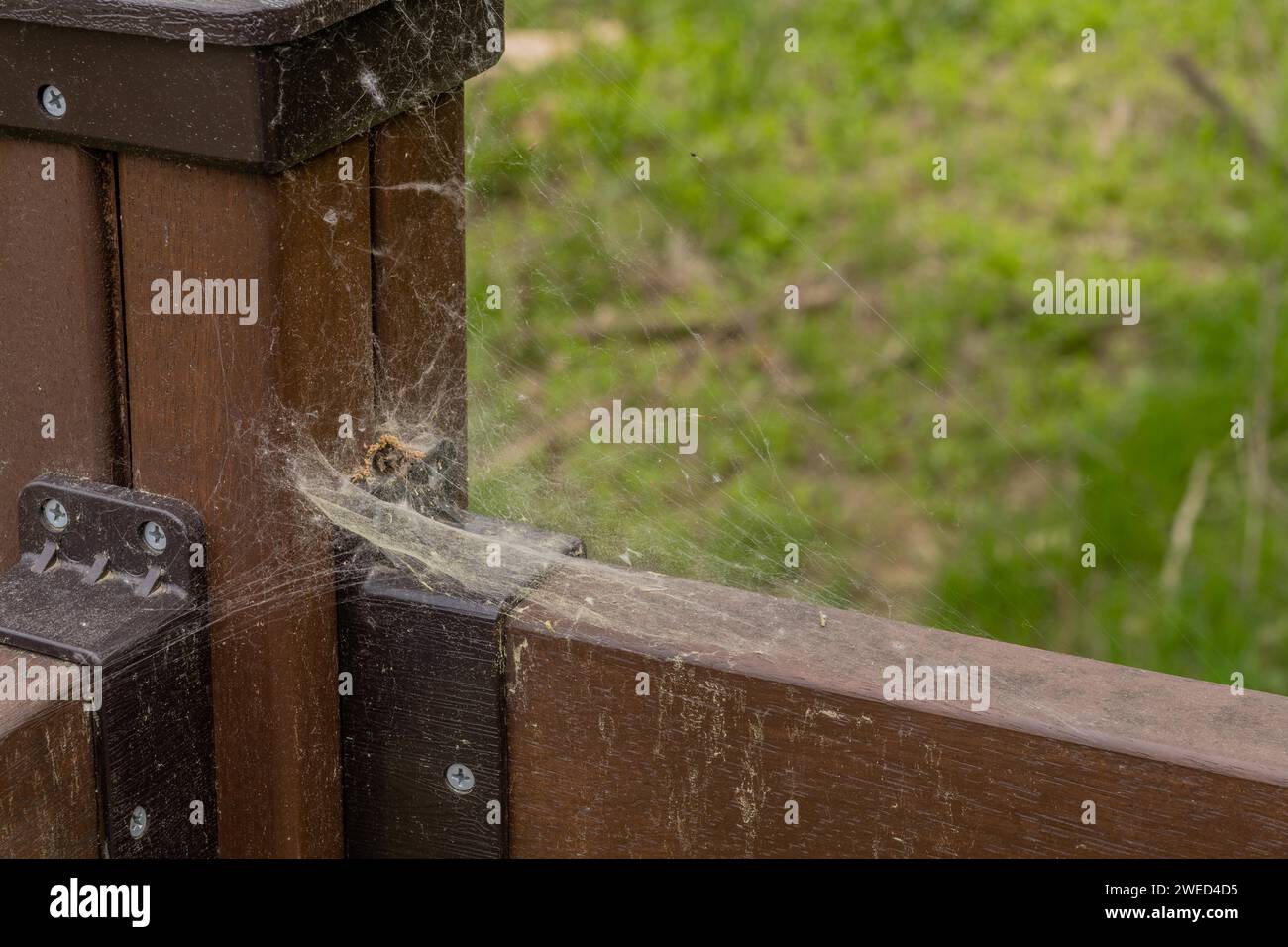 Cobwebs accumulated at corner of wooden fence post and handrails Stock ...