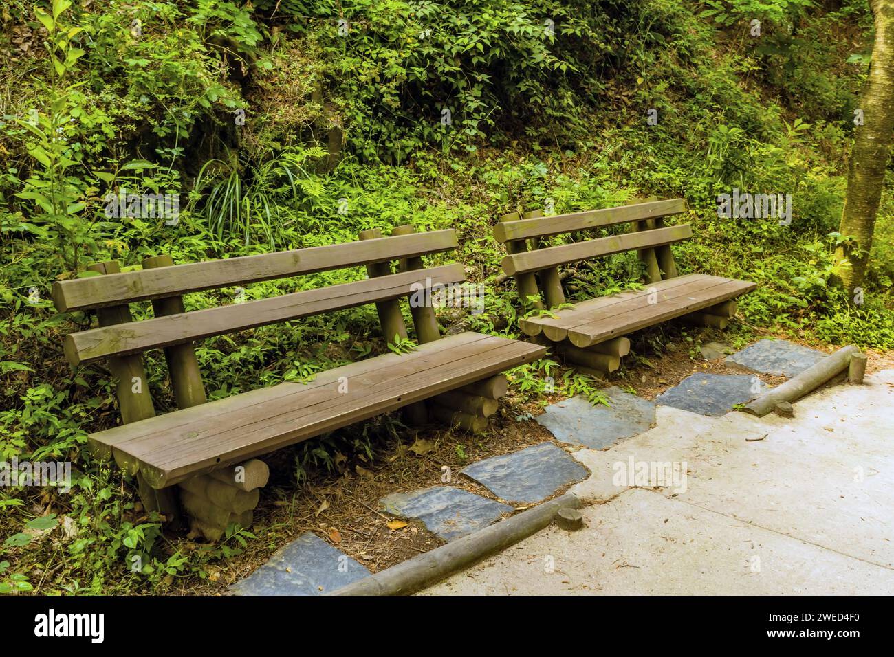 Two wooden park benches beside concrete hiking trail in recreational ...