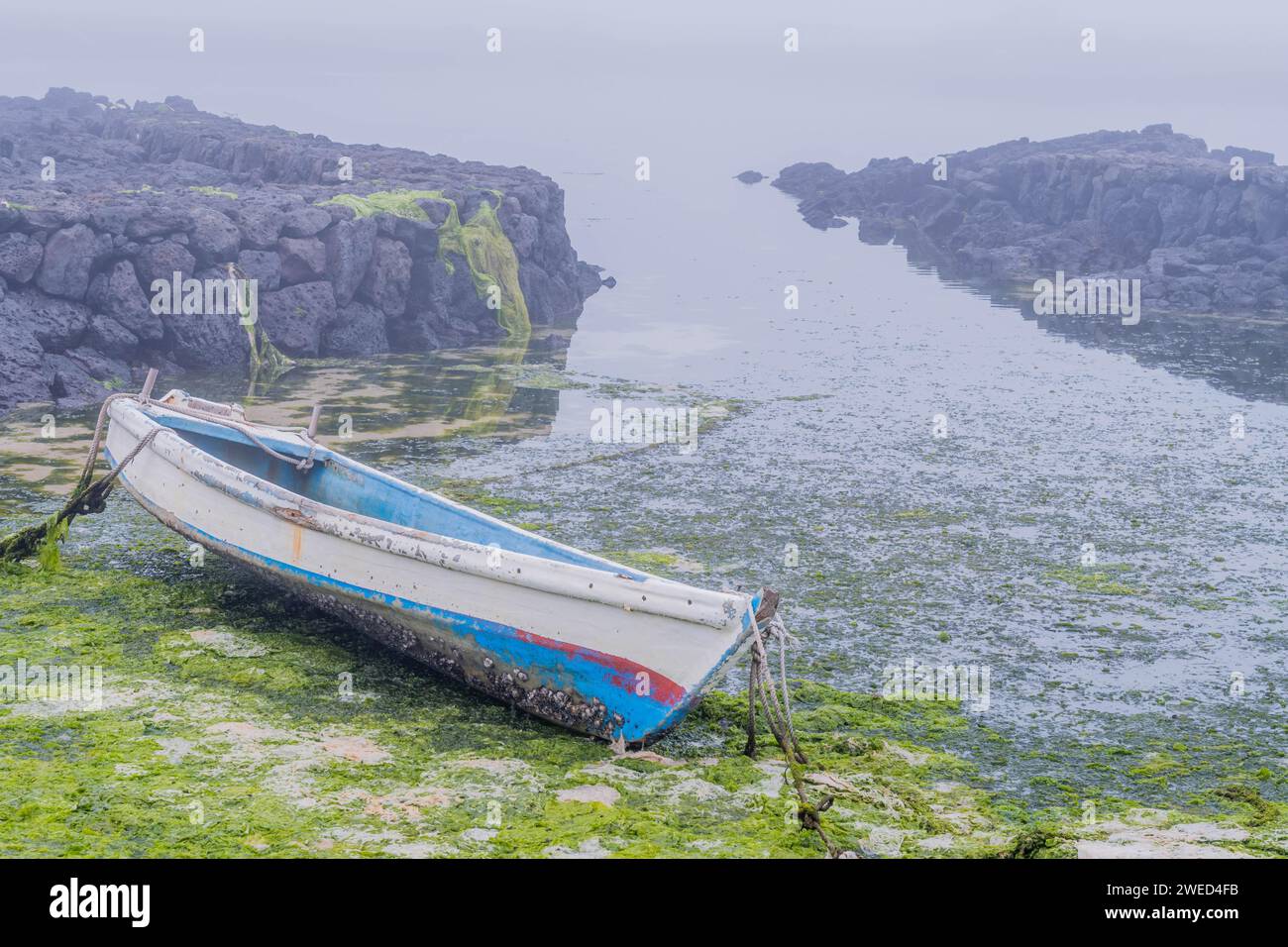 Small wooden boat in dry channel at low tide in Jeju, South Korea Stock ...