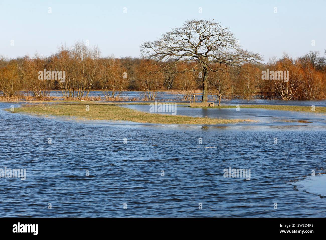 Winter floods 2024 on the Elbe and Mulde rivers with flooding of the ...