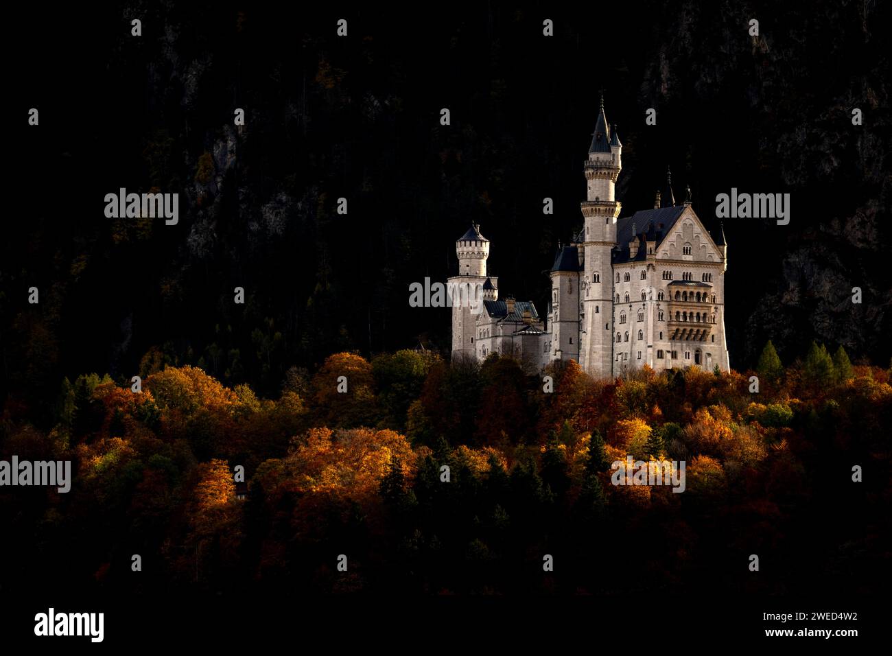 New schwanstein castle hi-res stock photography and images - Alamy