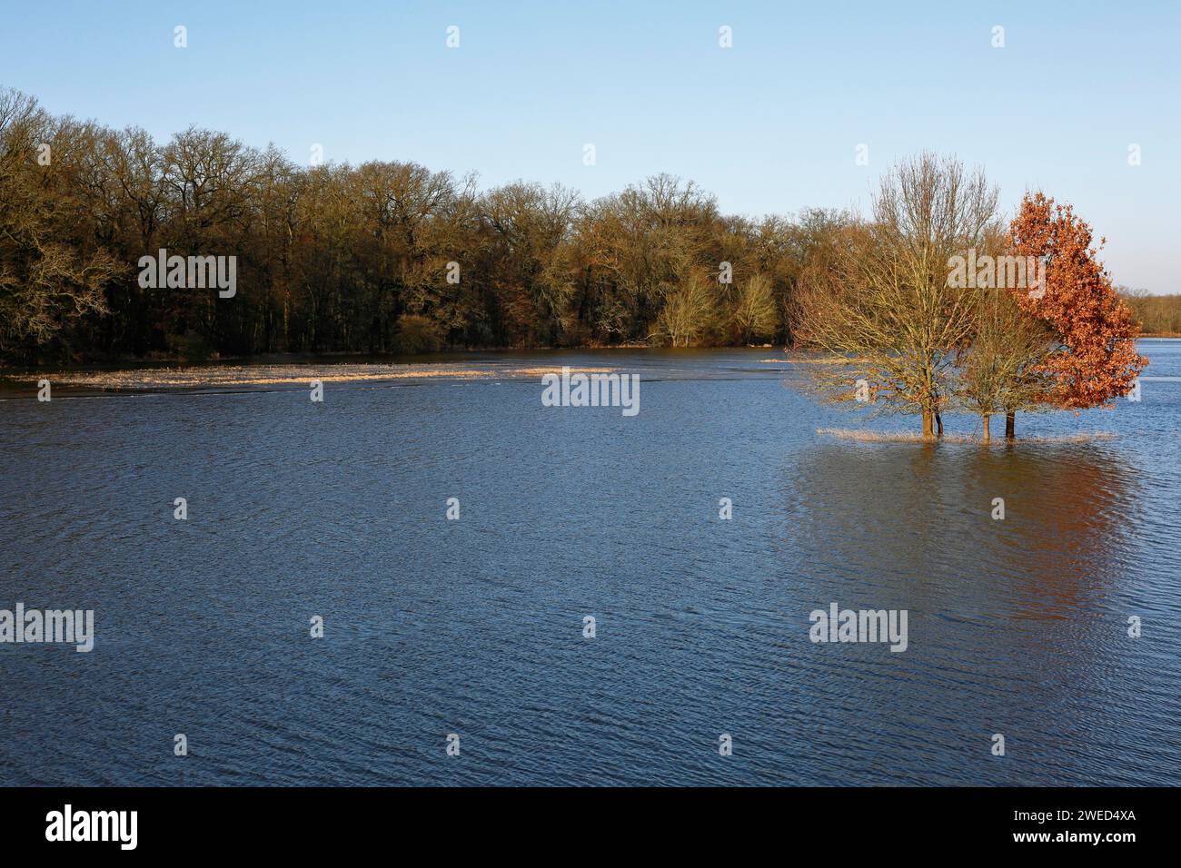 Winter floods 2024 on the Elbe and Mulde rivers with flooding of the ...