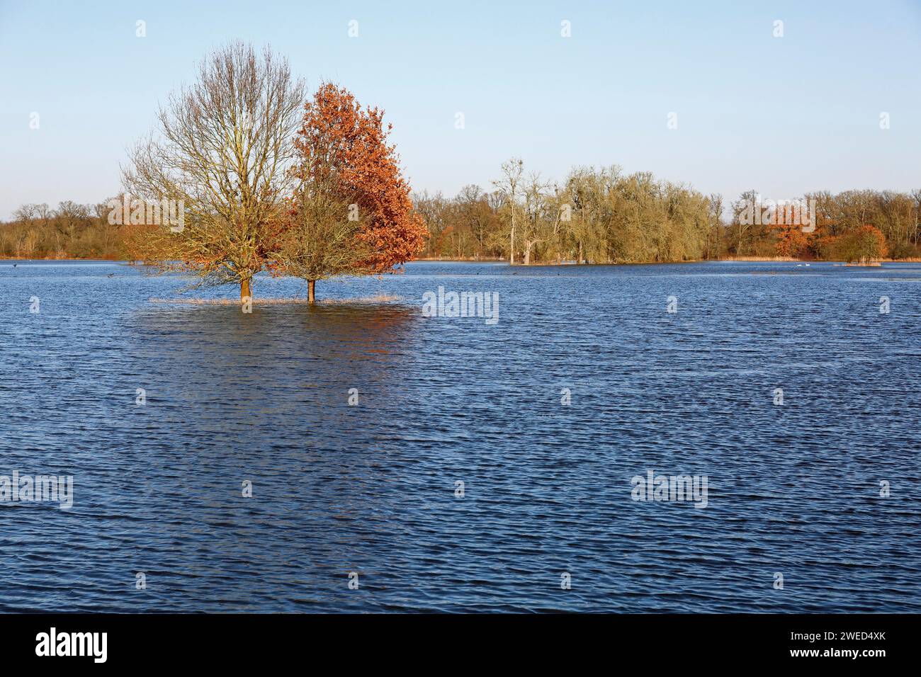 Winter floods 2024 on the Elbe and Mulde rivers with flooding of the ...