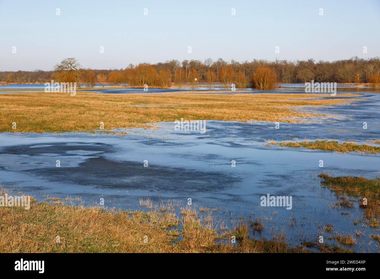 Winter floods 2024 on the Elbe and Mulde rivers with flooding of the ...