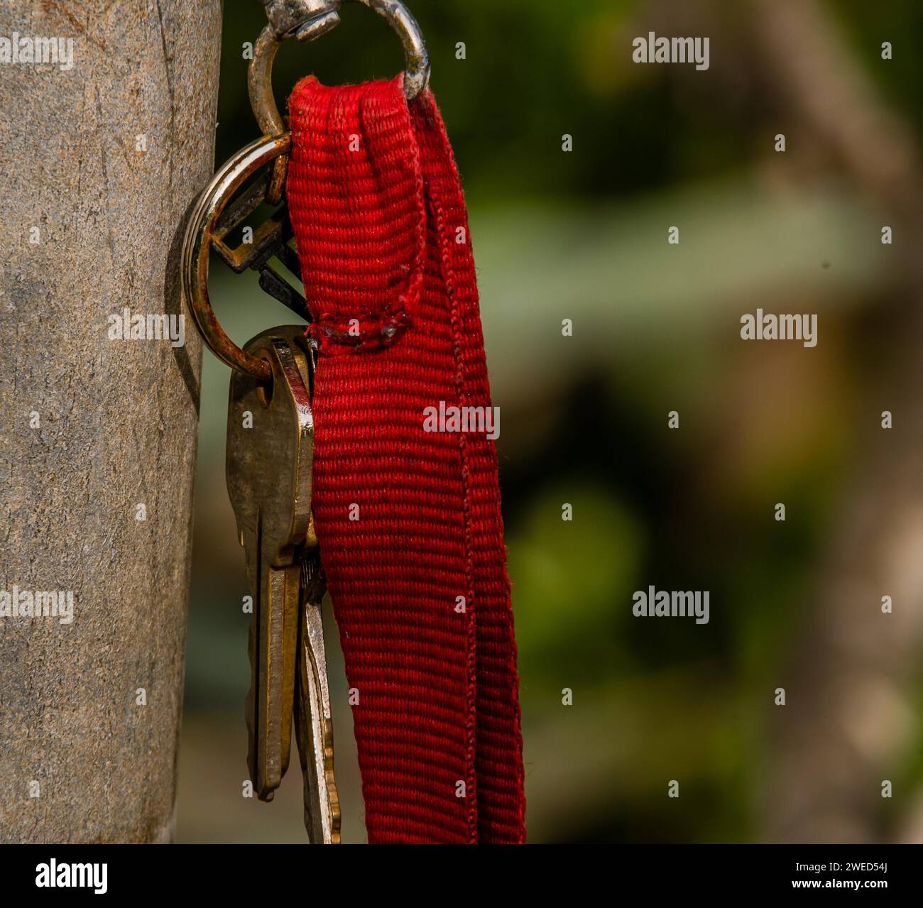 Keys on a keyring with red strap hanging from a metal pole in a wooded ...
